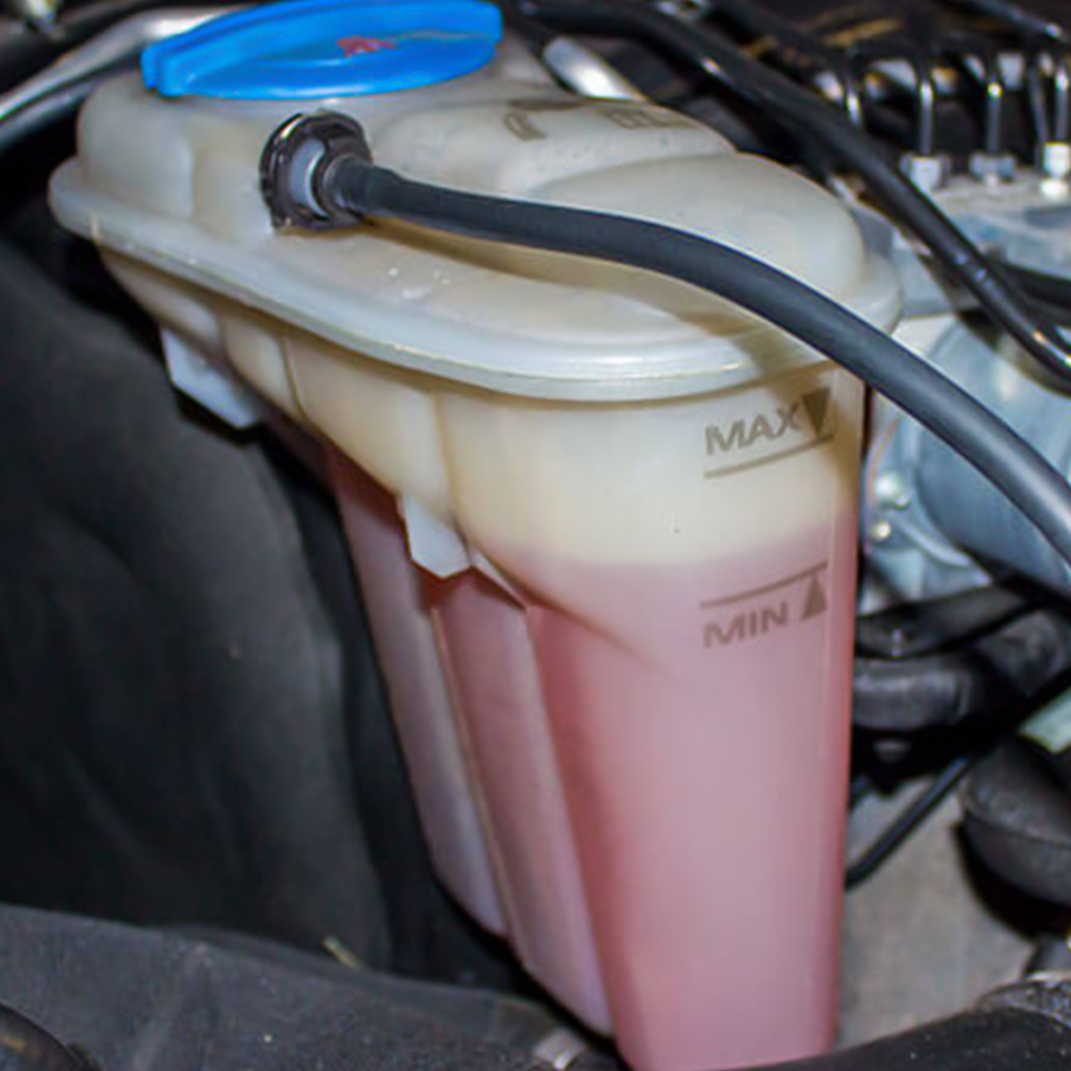 Car Radiator Flush | Coolant Flush | Cooling System Flush Costs ...