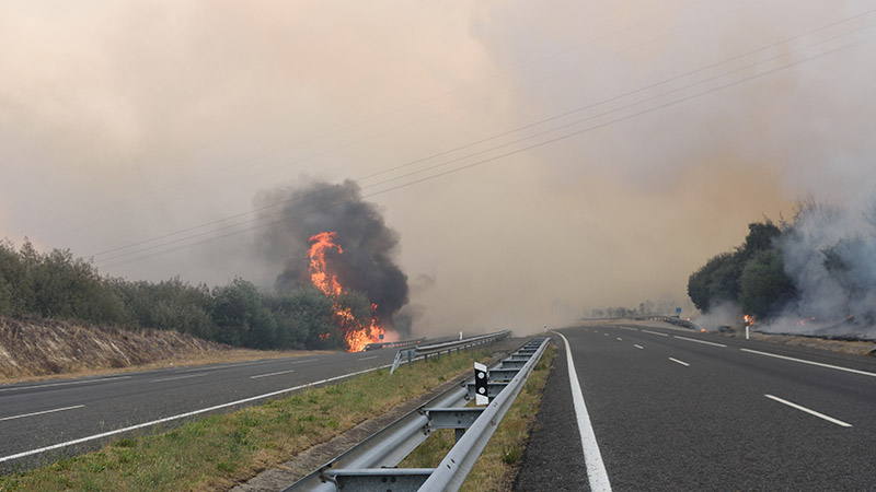 What to do when driving in a bush fire area