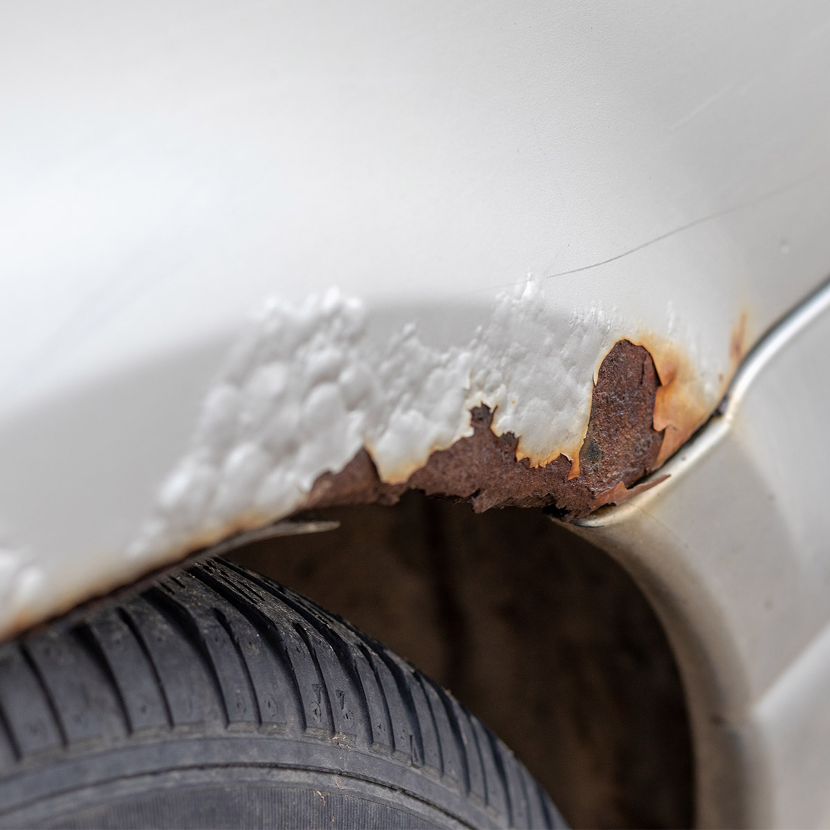 Toyota Landcruiser Prado Rust Repair | Common Issues, Costs & Fixes